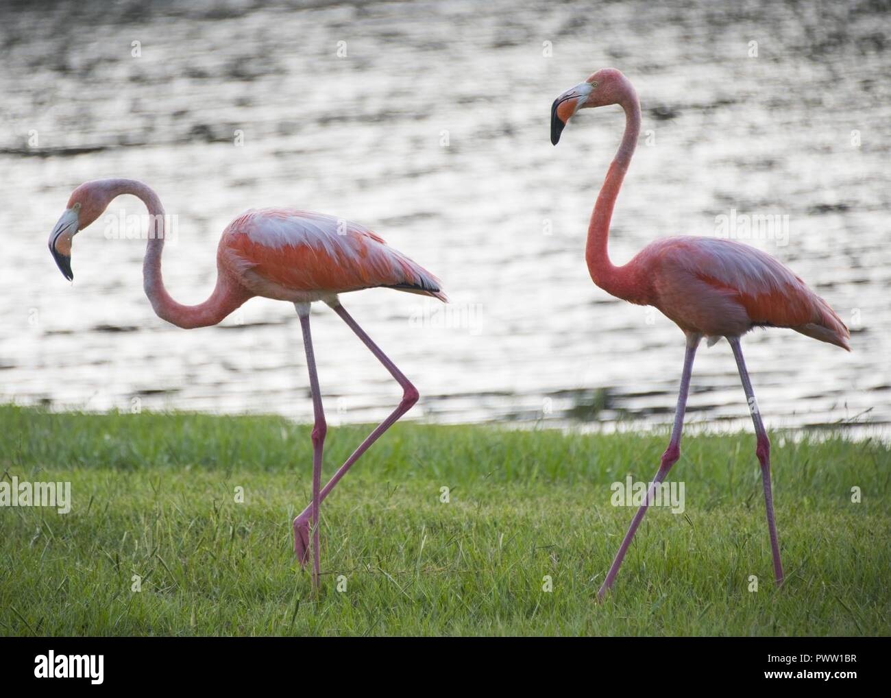 Storm shelter test hi-res stock photography and images - Alamy