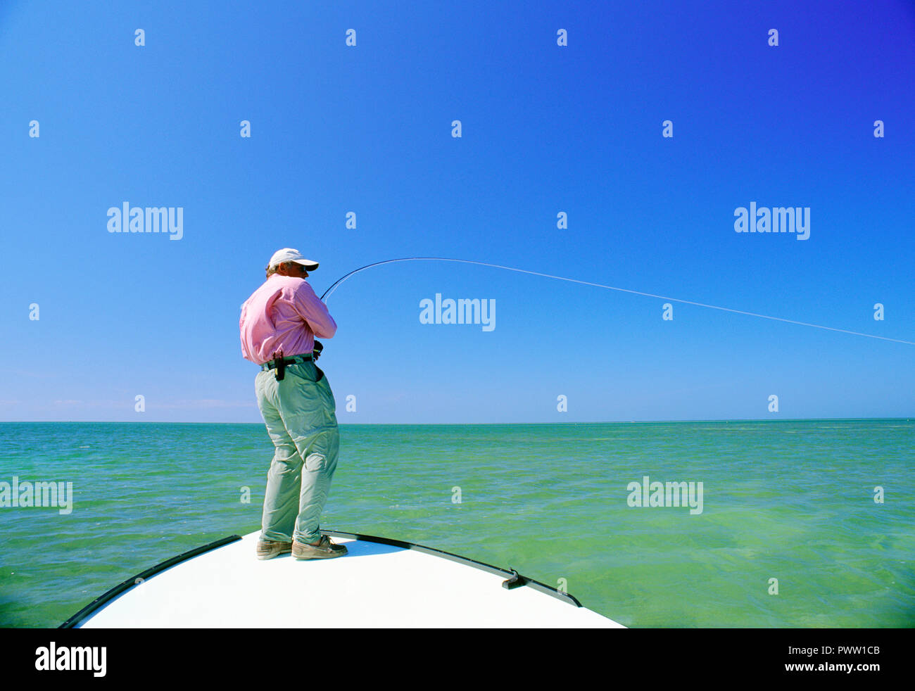 Saltwater sport fishing in Florida, USA Stock Photo - Alamy