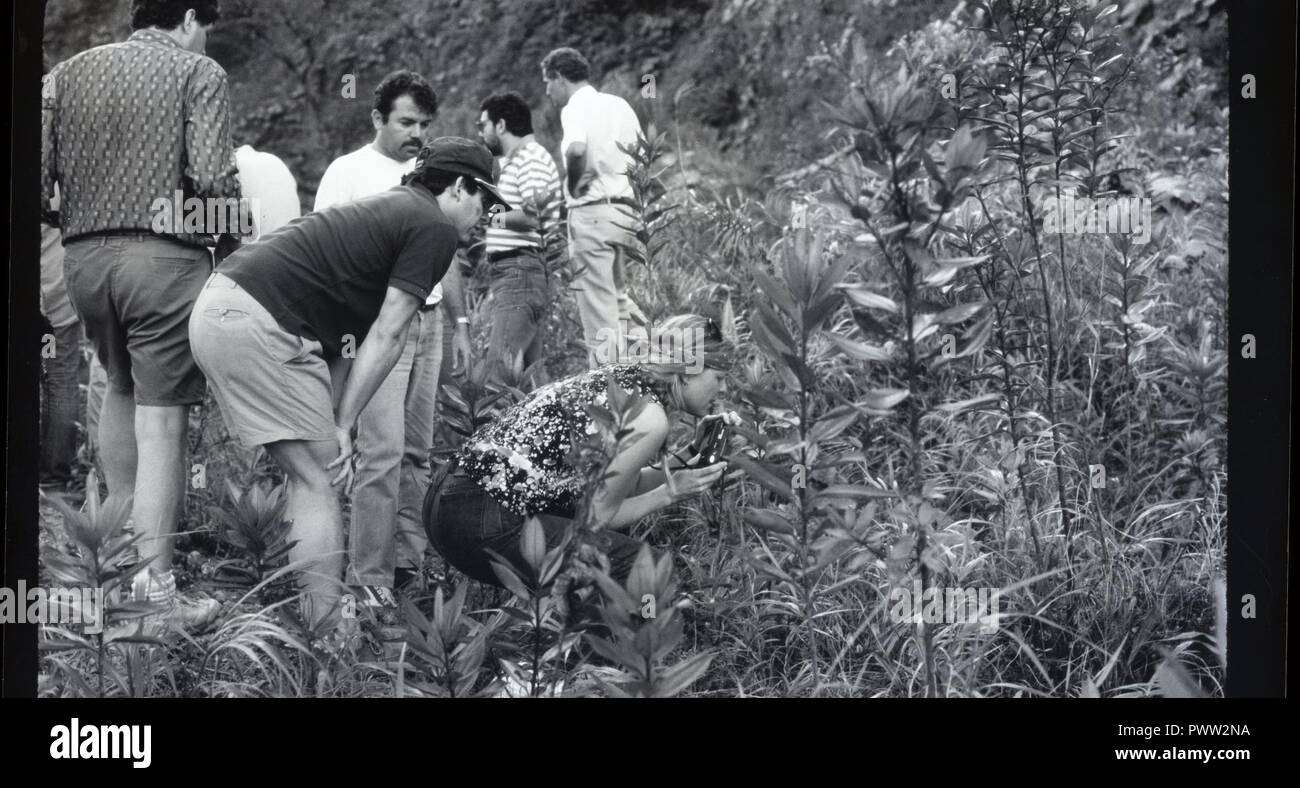 A GROUP OF PEOPLE IN THE WOODS LOOKING AT SOME PLANTS Stock Photo - Alamy