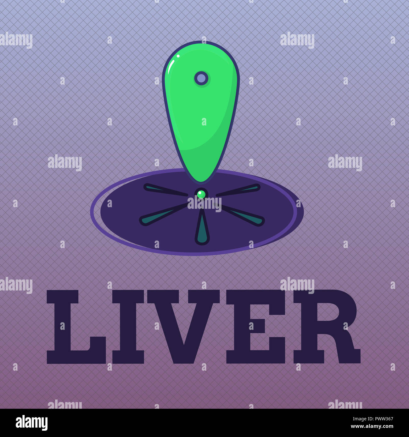 Glandular structure hi-res stock photography and images - Alamy