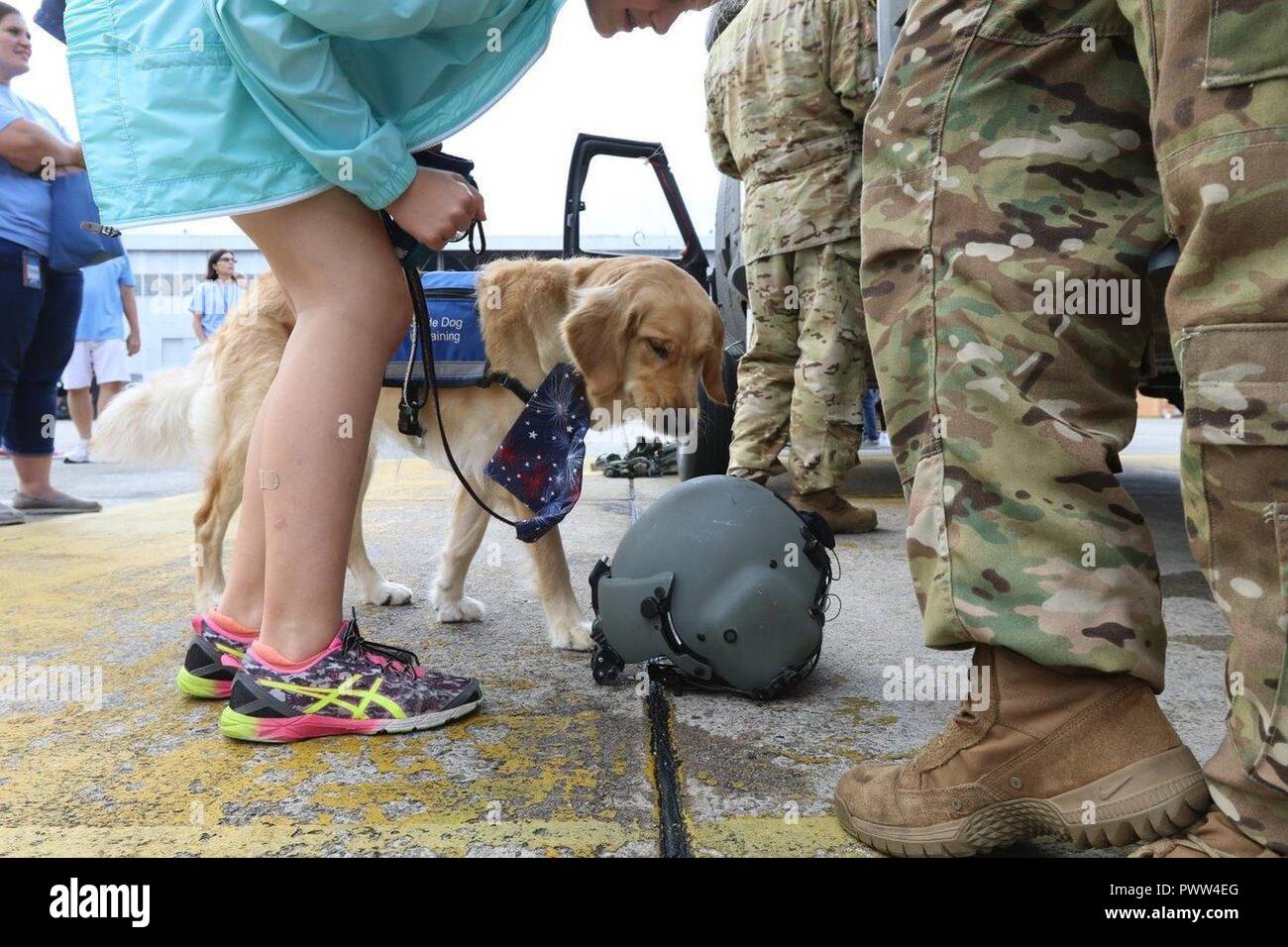 Guide dogs in training survey a pilot’s helmet to become familiar with ...