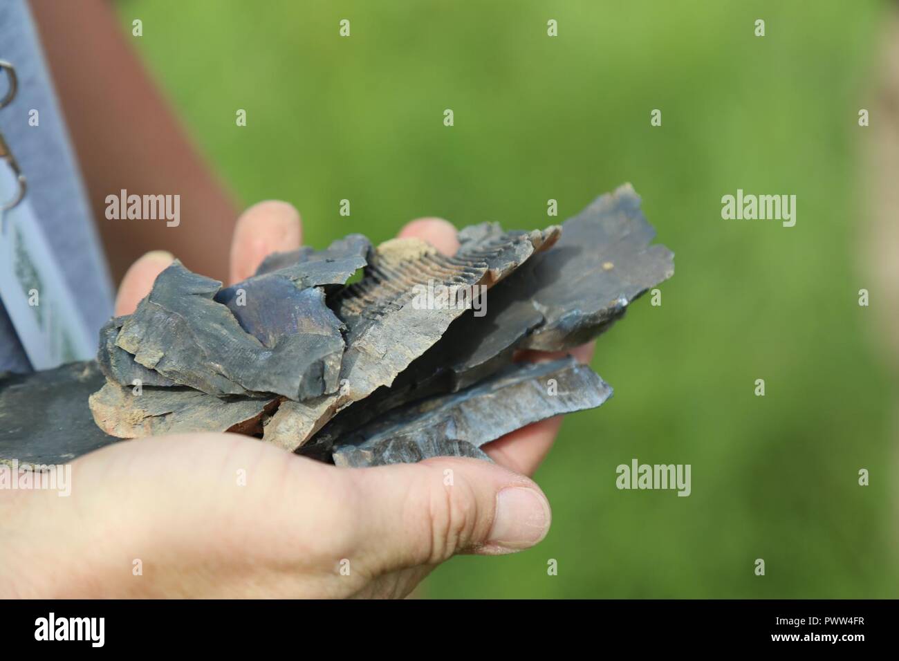 Ravenschallenge2017 hi-res stock photography and images - Alamy