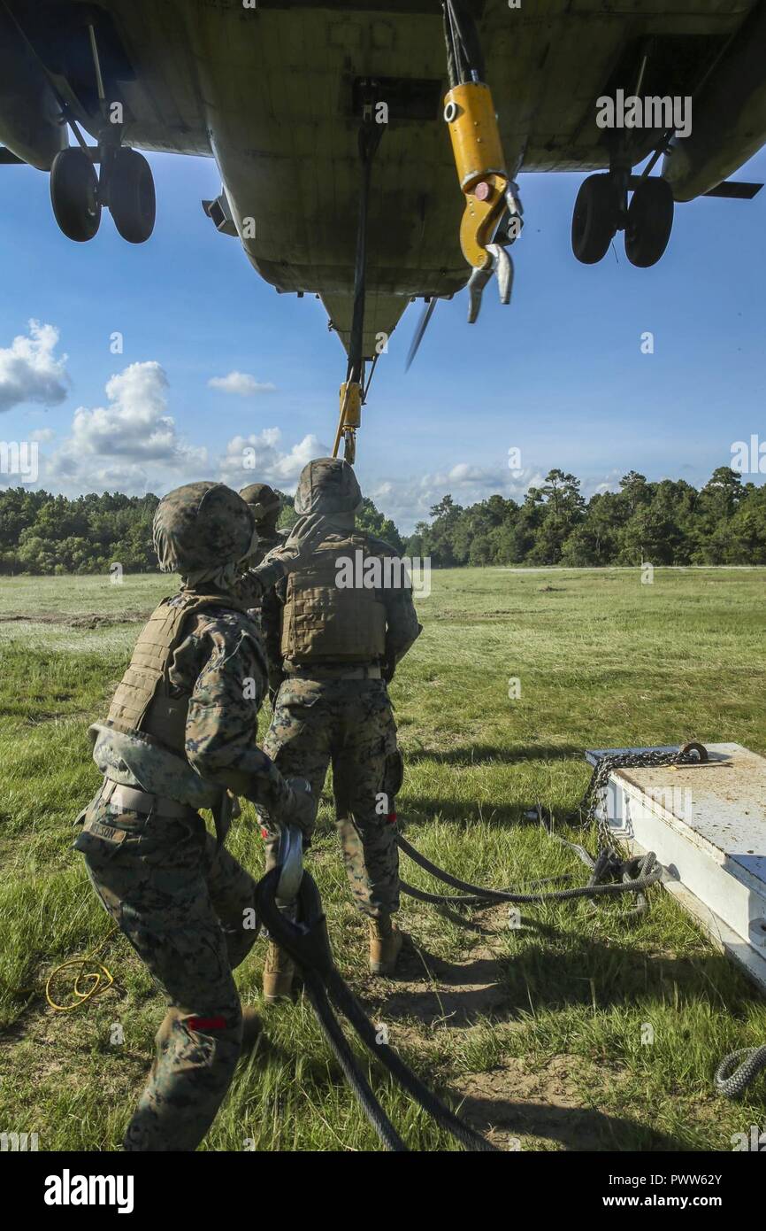 U.S. Marines with 2nd Transportation Support Battalion (TSB), Combat ...