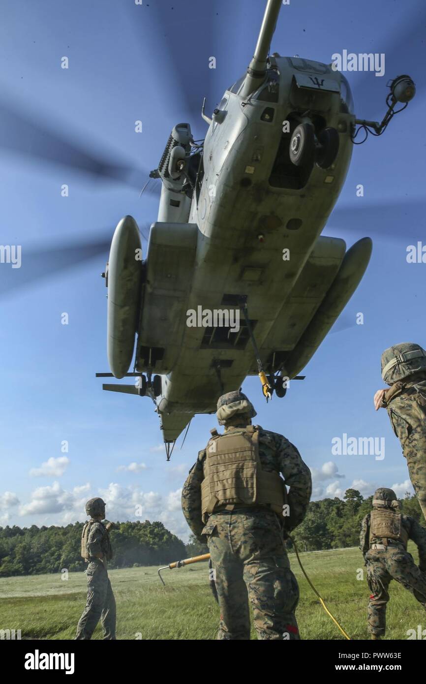 Lz albatross hi-res stock photography and images - Alamy