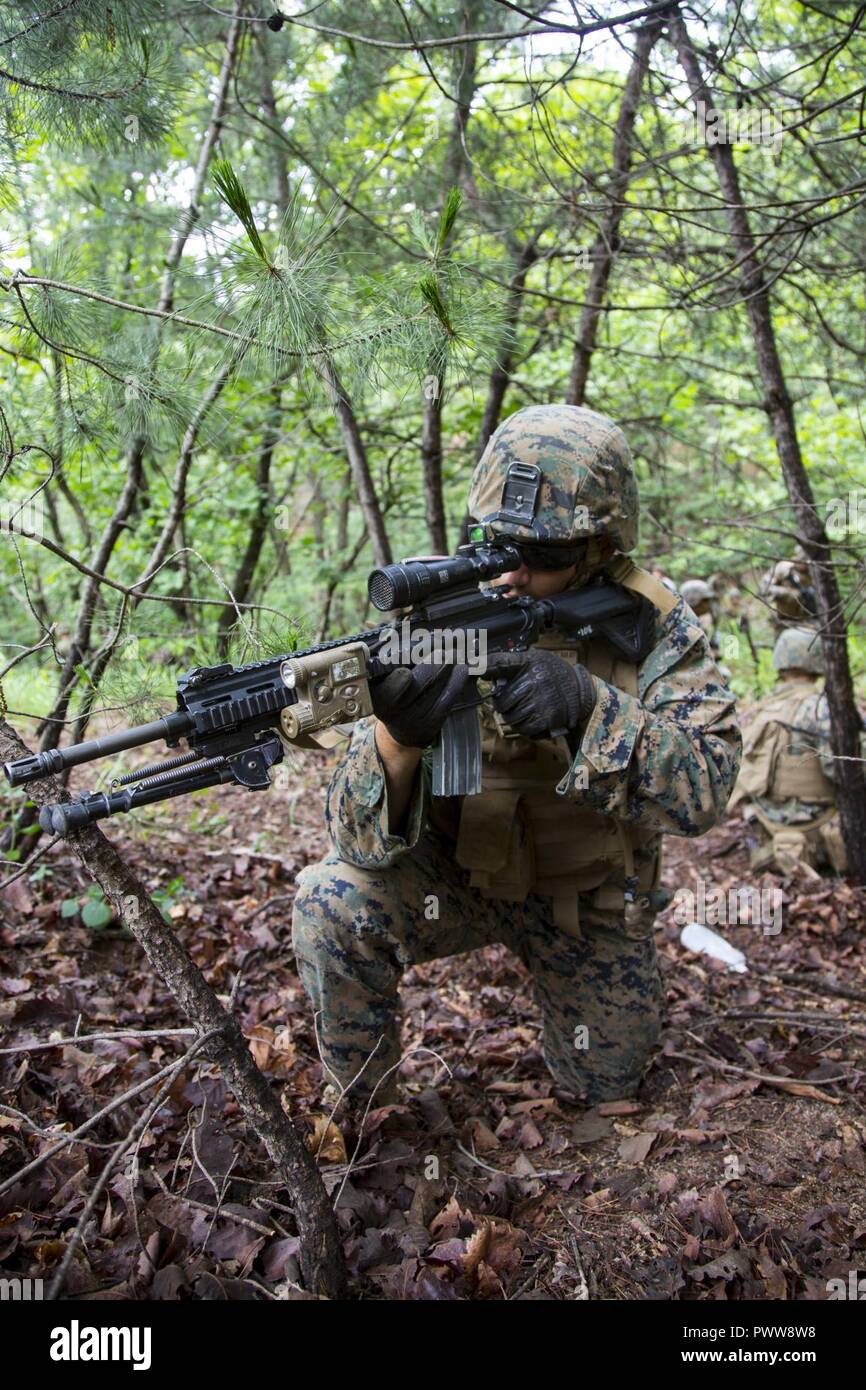 U.S. Marines assigned to India Company, 3rd battalion, 8th Marine ...