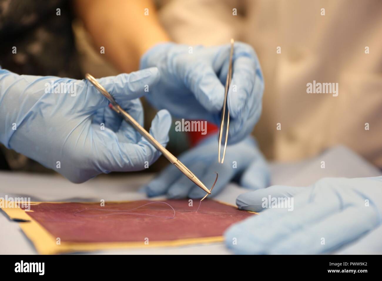 Navy Lt. (Dr.) Yarrow Sheldon practices her suturing skills, one of a ...