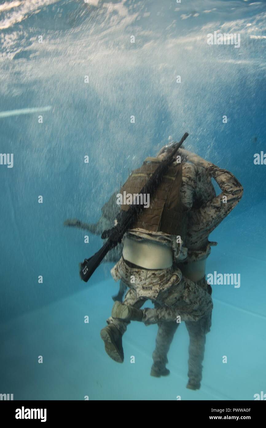 Survival swim qual hi-res stock photography and images - Alamy