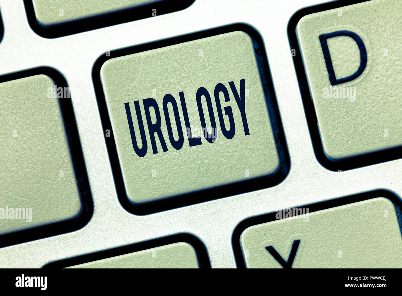 Handwriting text Urology. Concept meaning Medicine branch related with ...