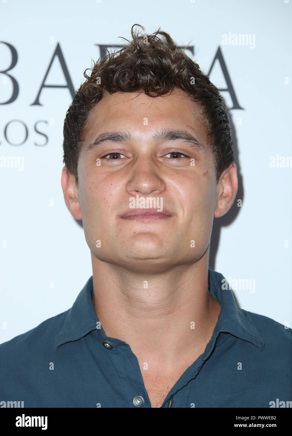 BAFTA Los Angeles + BBC America TV Tea Party 2018 Featuring: Rafi ...