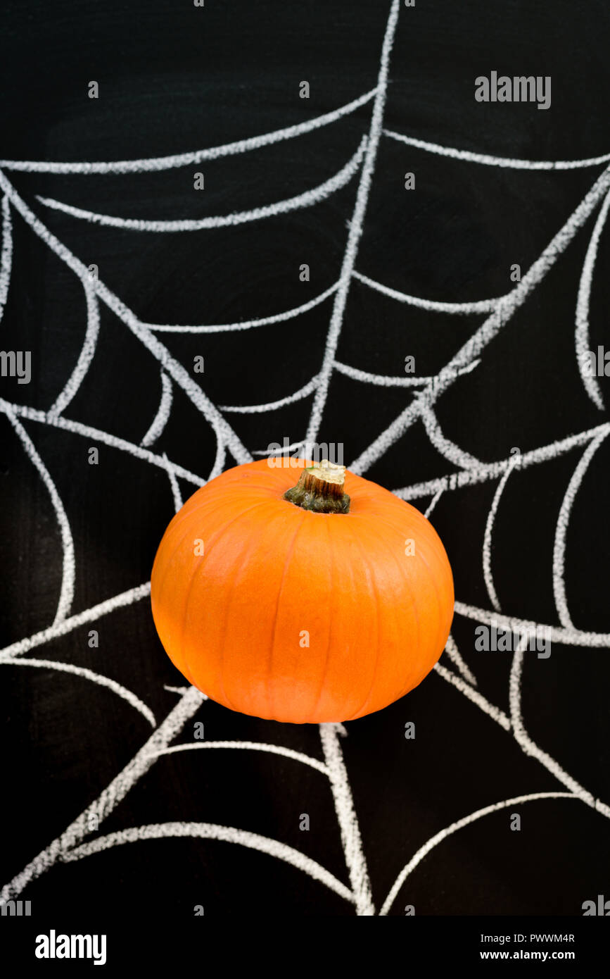 Pumpkin on black chalk board with drawn spider web Stock Photo - Alamy