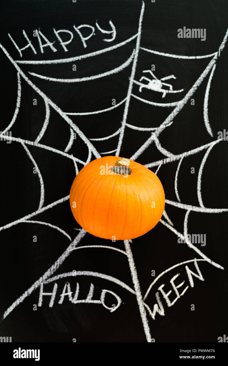 Pumpkin on black chalk board with drawn spider web Stock Photo - Alamy