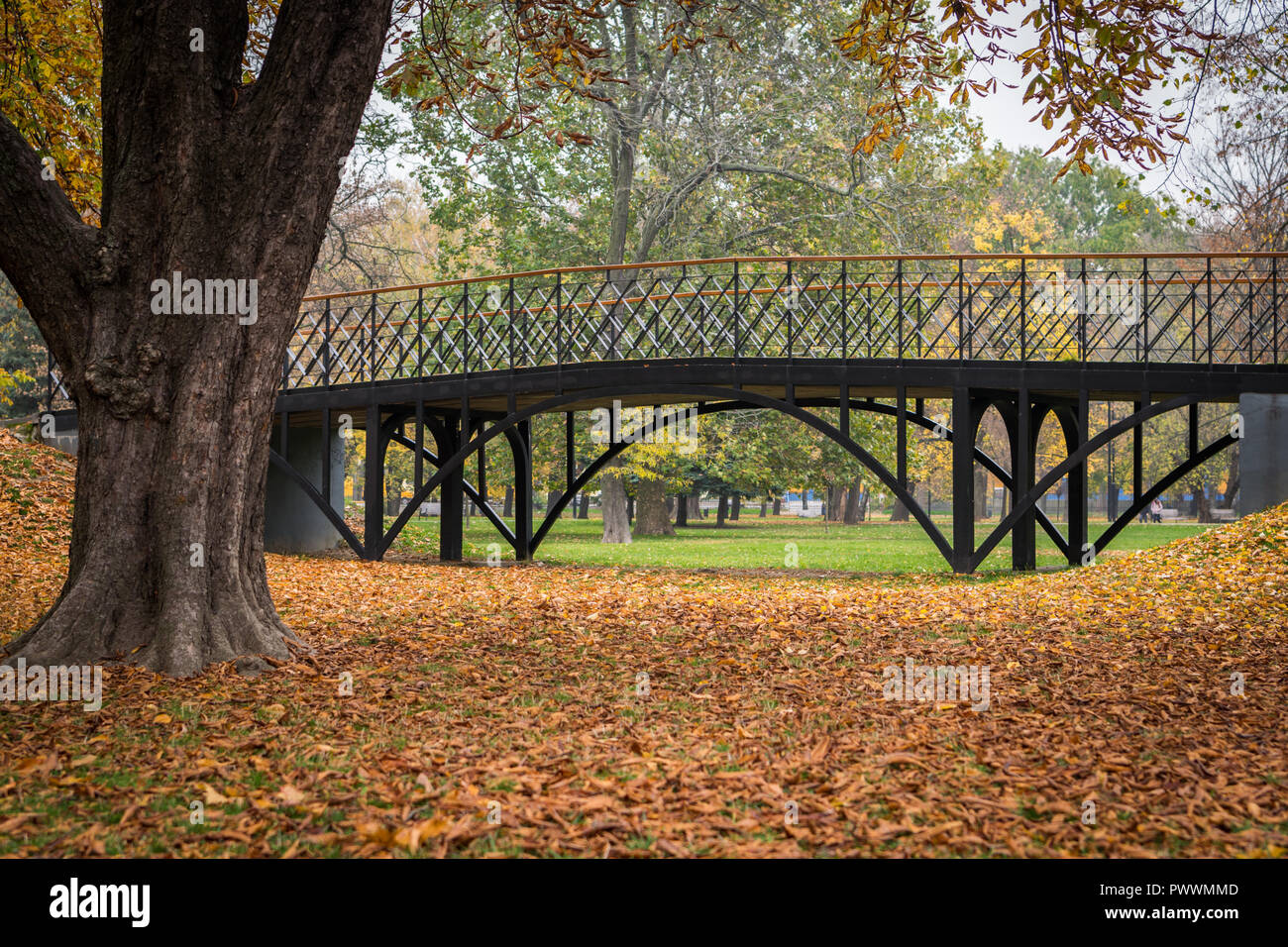 Bridge in Slovak park in the fall Stock Photo - Alamy