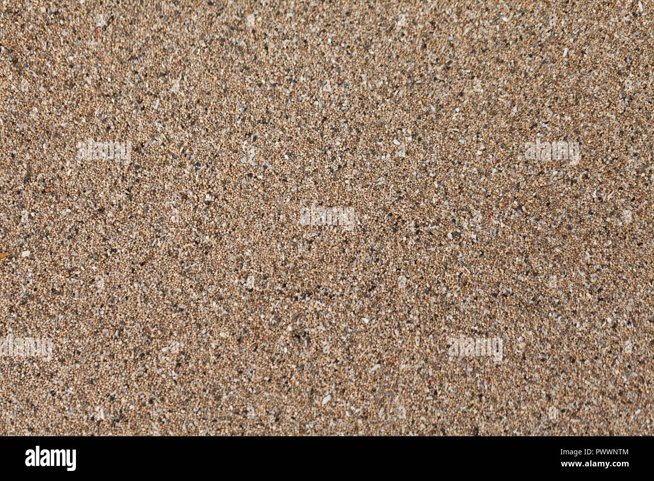 Dry sand on the ocean shore texture background. Closeup Stock Photo - Alamy