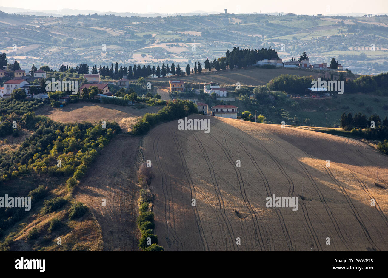 Panoramic view of olive groves and farms on rolling hills of Abruzzo ...