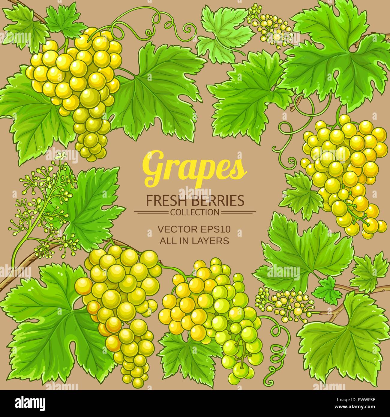 grapes vector frame on color background Stock Vector Image & Art - Alamy
