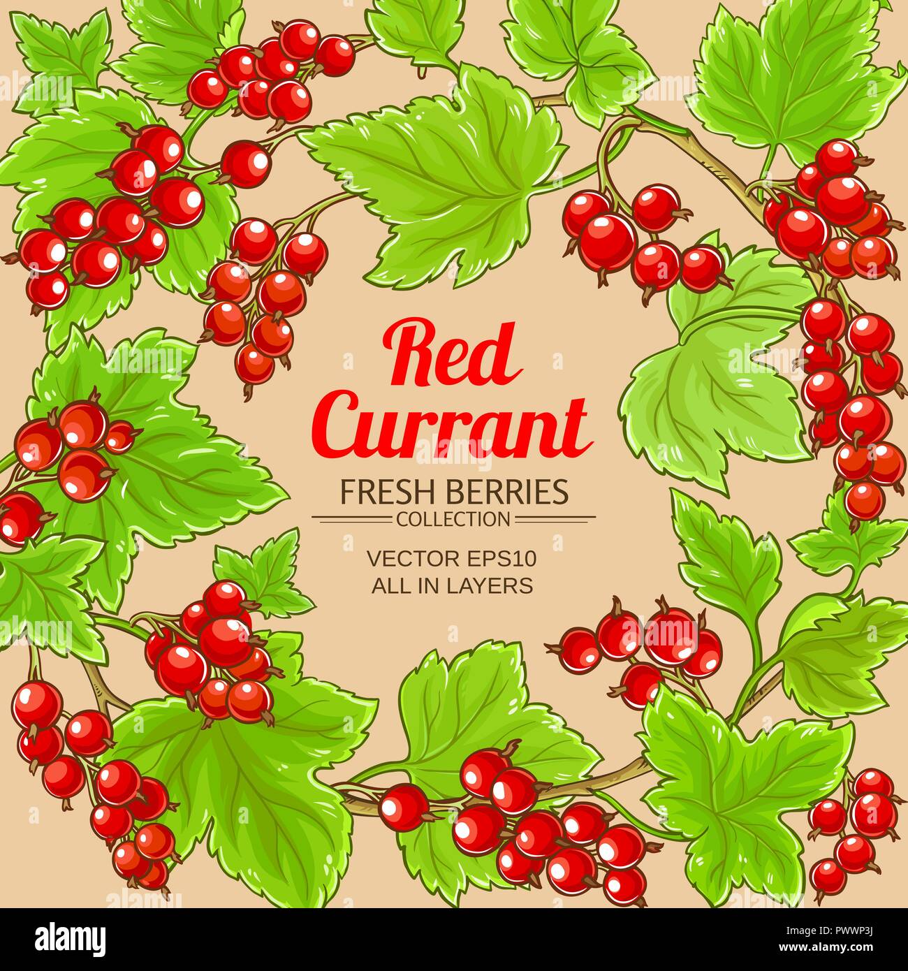 red currant frame on color background Stock Vector Image & Art - Alamy