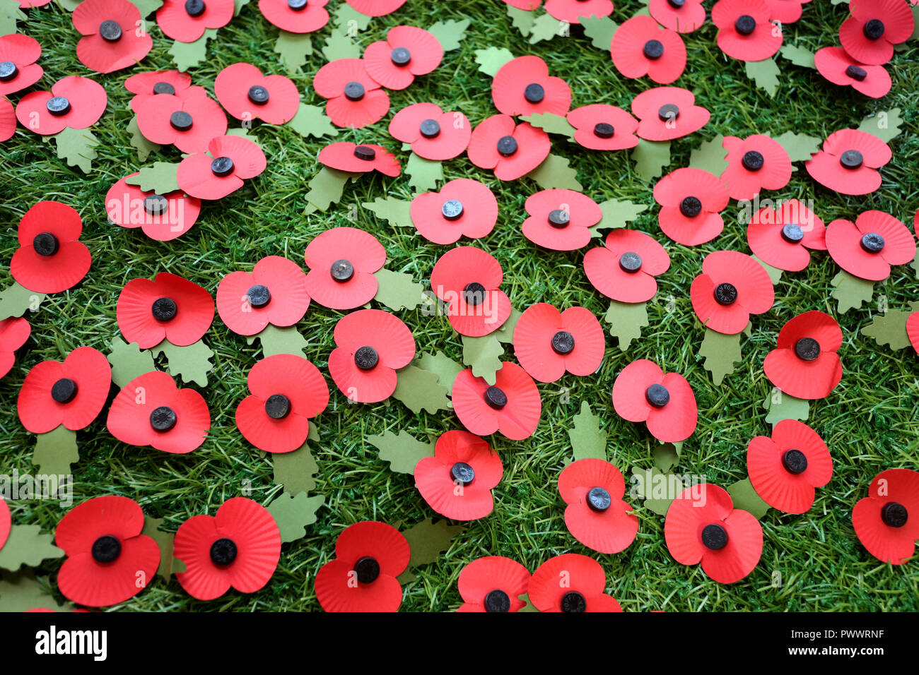 Selection of Remembrance Day Poppies for 11th November 2018 Stock Photo ...