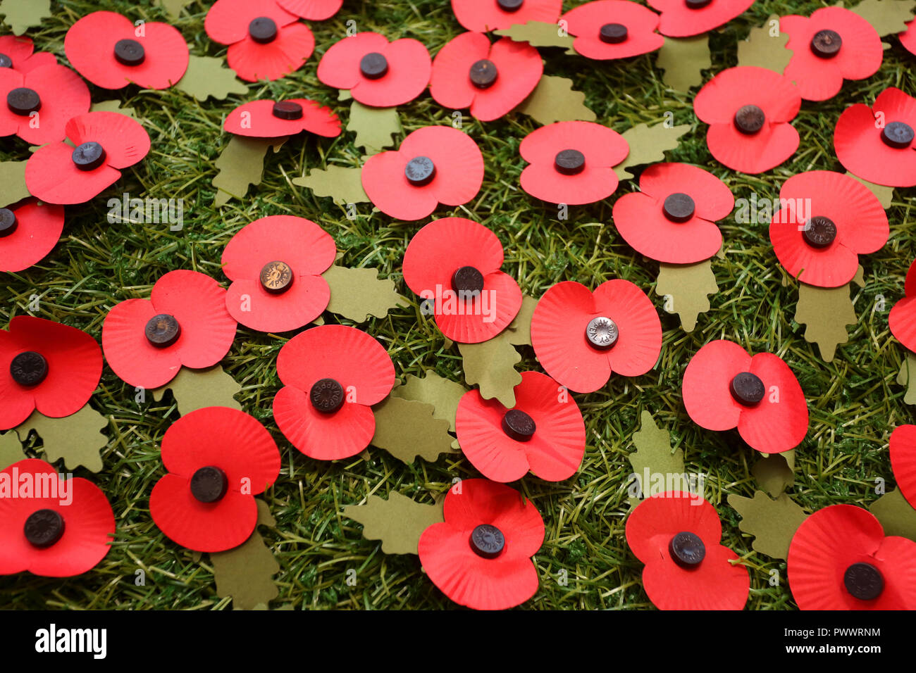 Selection of Remembrance Day Poppies for 11th November 2018 Stock Photo ...