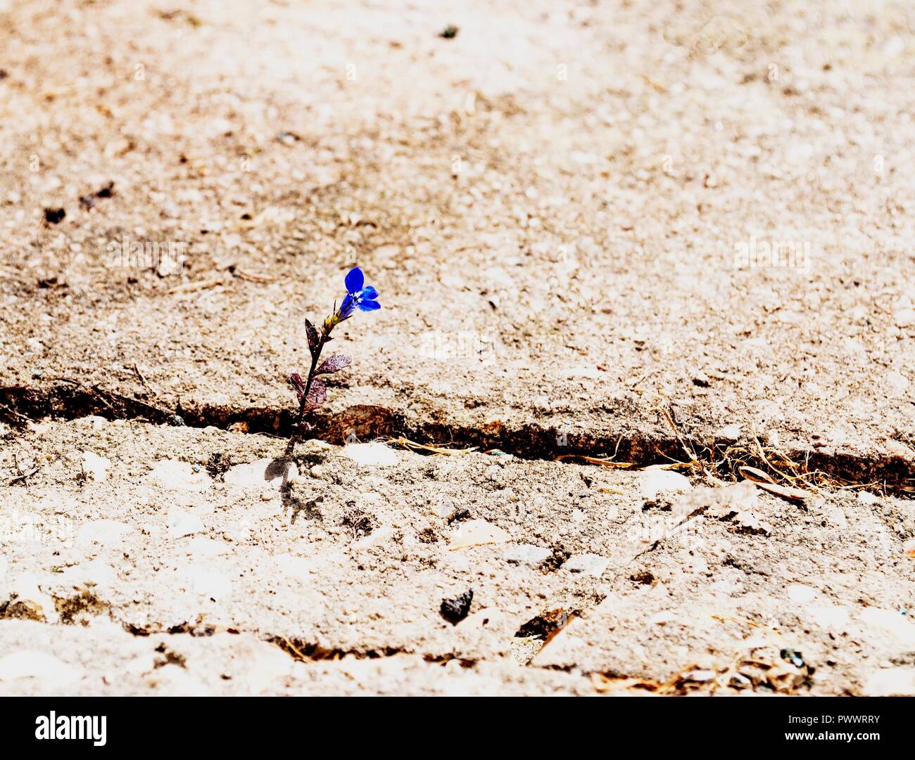Between a rock and a hard place hi-res stock photography and images - Alamy