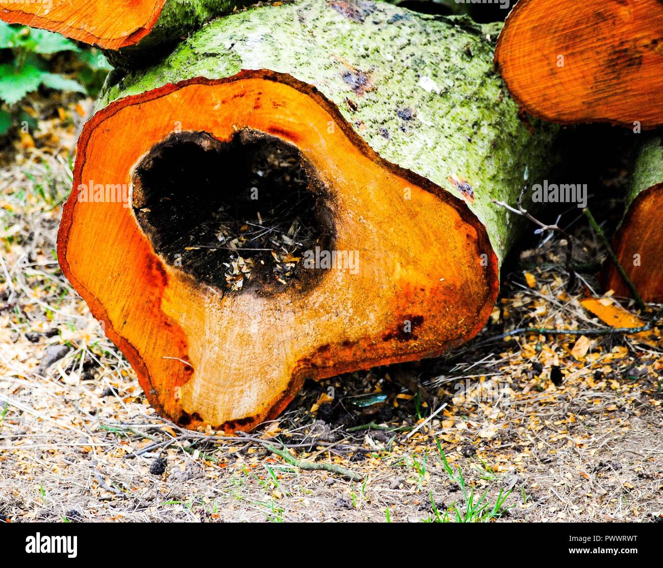 Red wooden log pile sawn logs Stock Photo - Alamy
