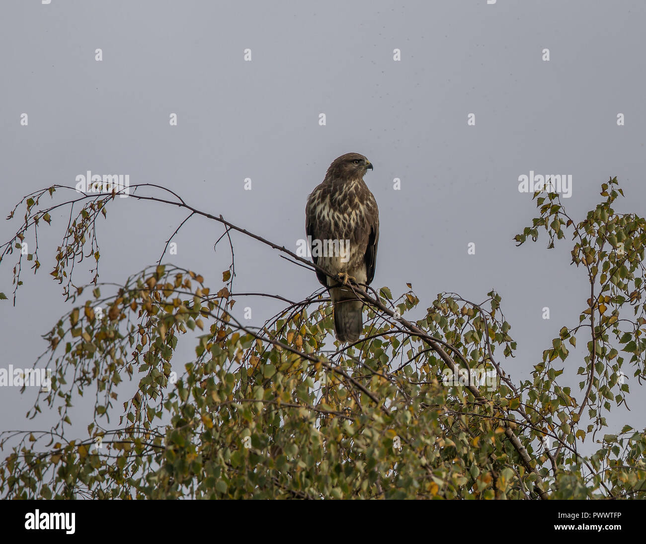 Residant hi-res stock photography and images - Alamy