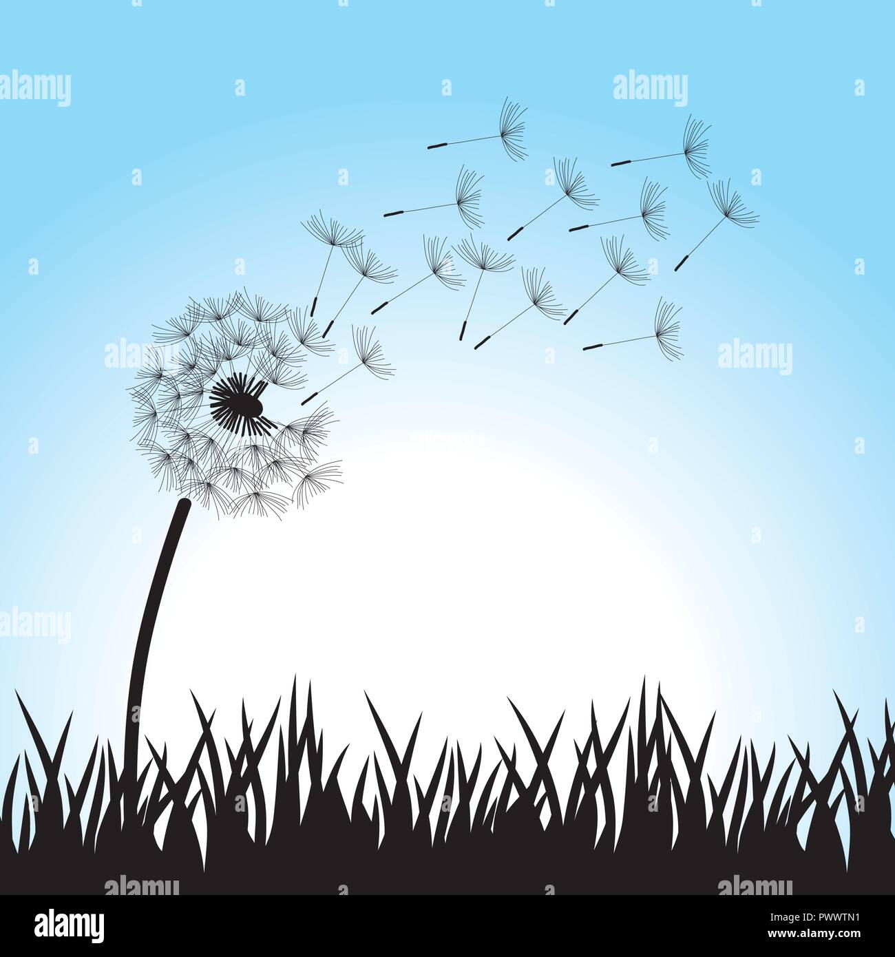 dandelion flower, vector Stock Vector Image & Art - Alamy
