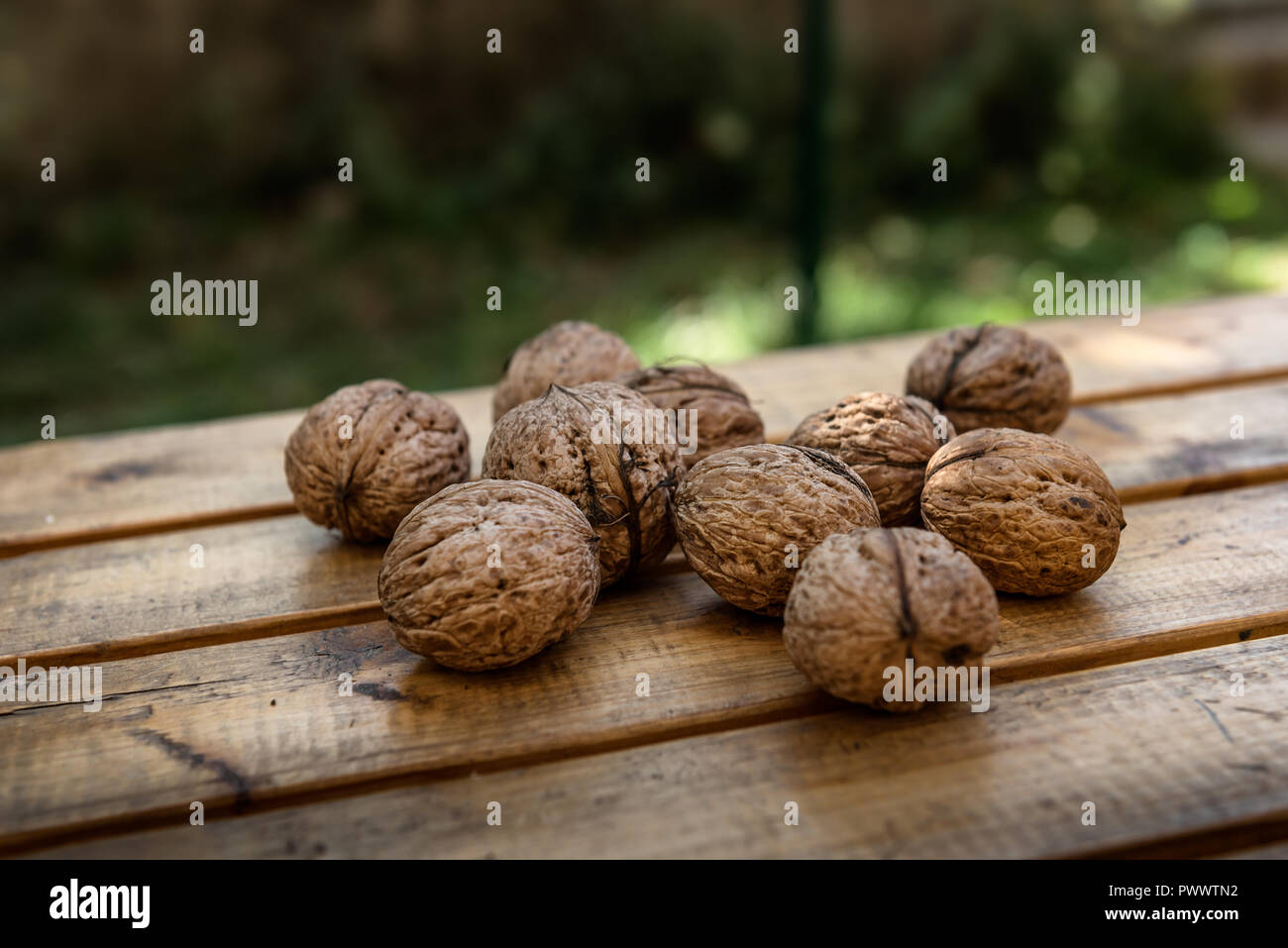 Organic Walnuts from a Small Garden on a Rustic Wooden Table Stock ...