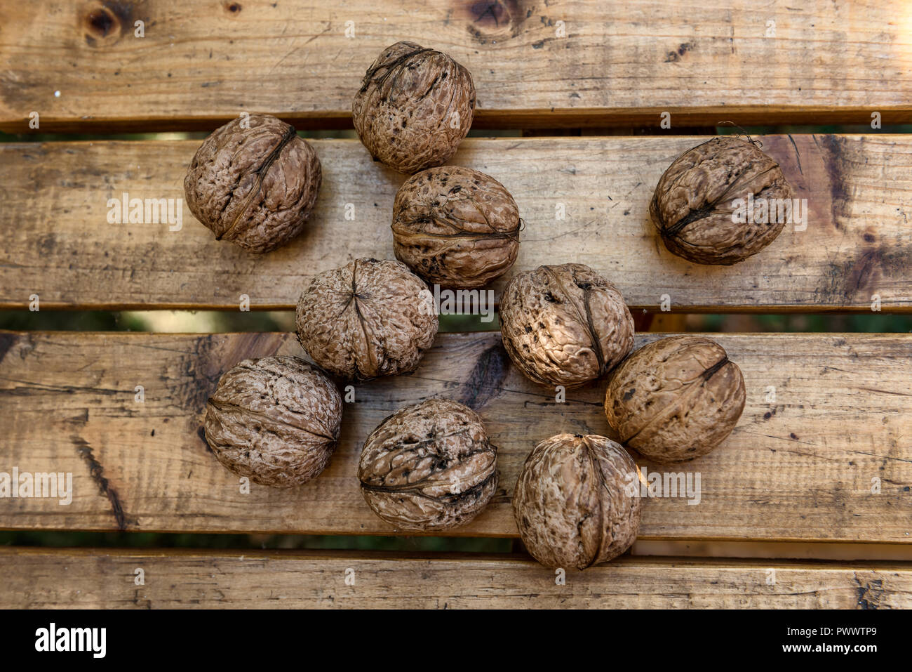Organic Walnuts from a Small Garden on a Rustic Wooden Table Stock ...