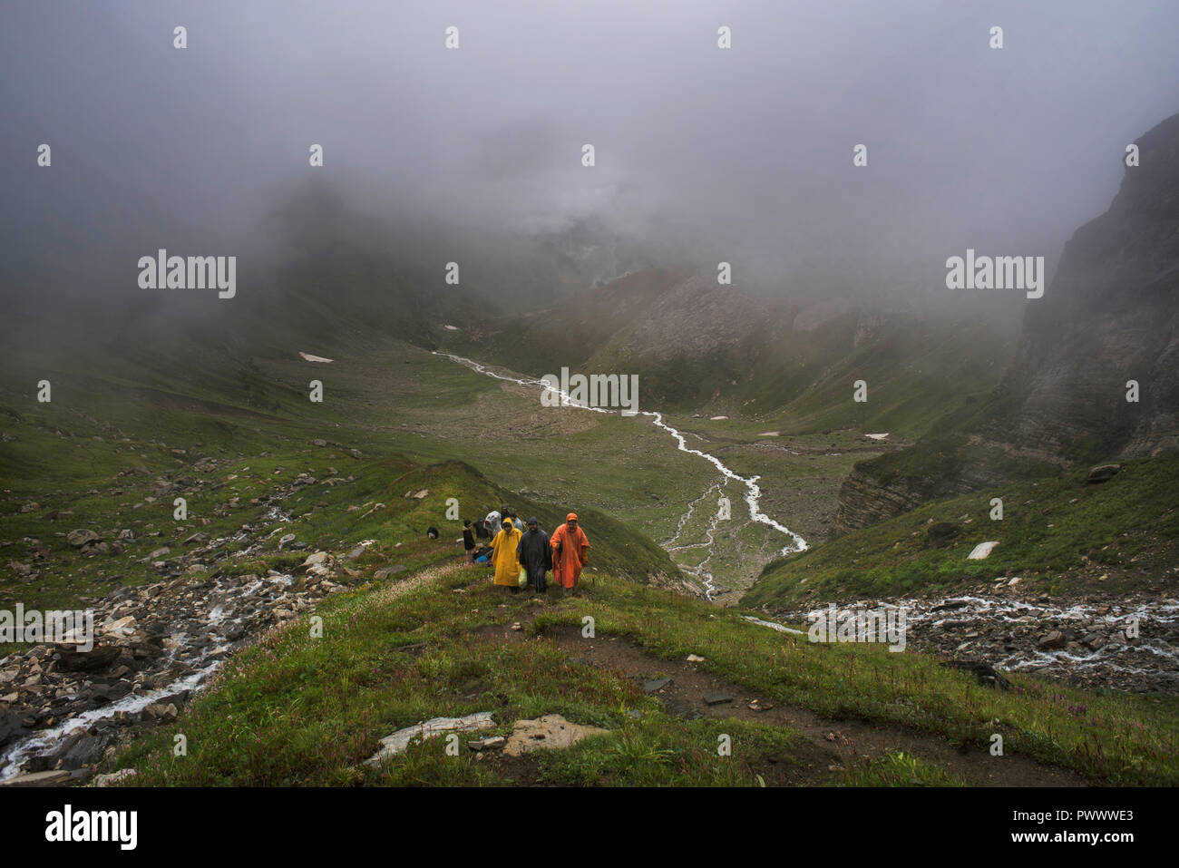 A walk in nature Stock Photo - Alamy