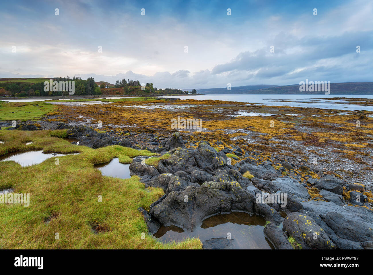 Aros background hi-res stock photography and images - Alamy