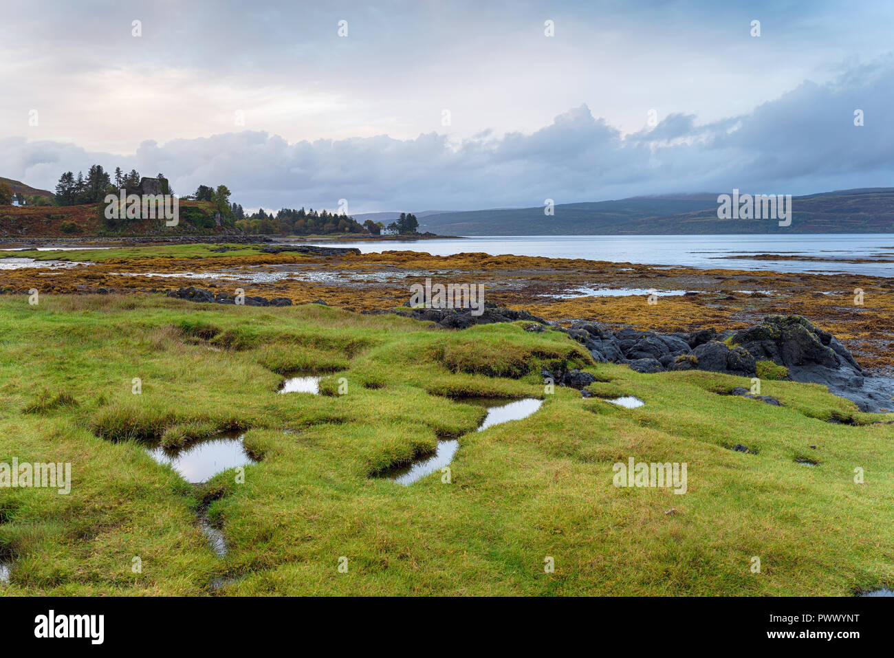 The shoreline along the Sound of Mull near Salen on the Isle of Mull in ...