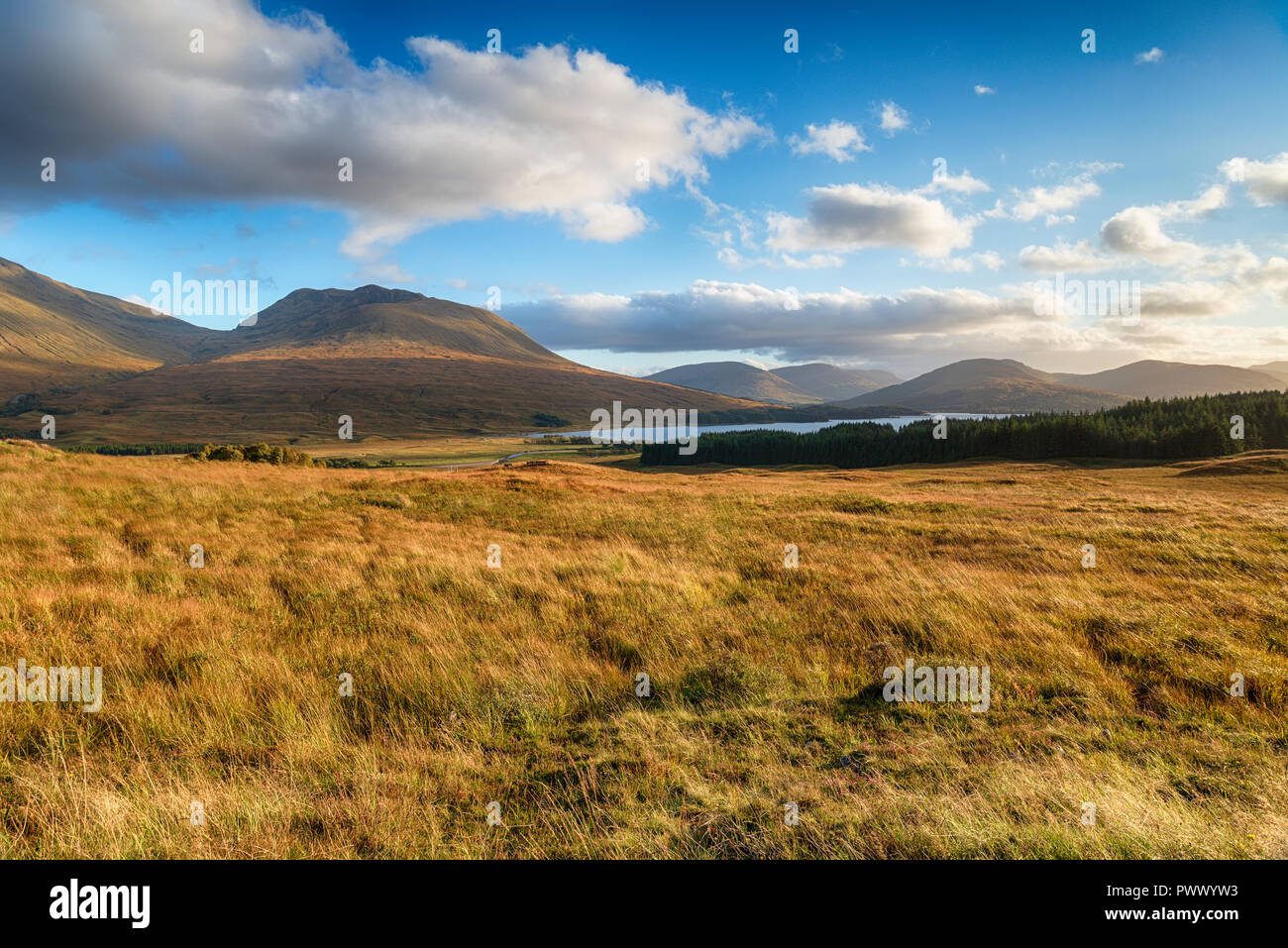 From loch tulla viewpoint hi-res stock photography and images - Alamy