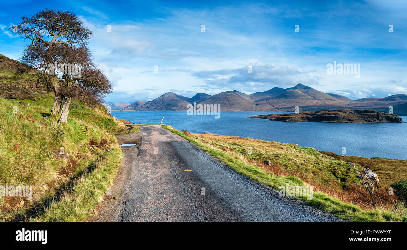 A single track road winds it's way past a lonely tree alongside Loch Na ...