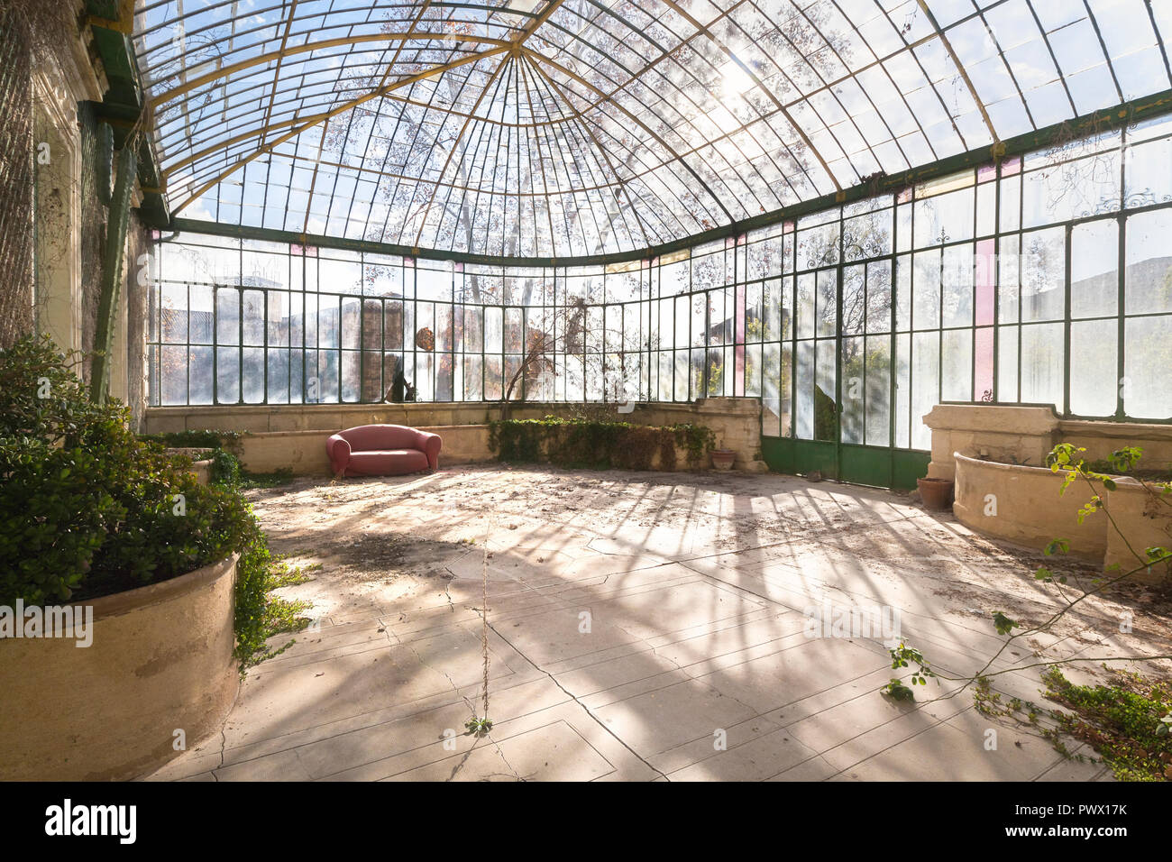 Interior view of a beautiful greenhouse in an abandoned castle in ...