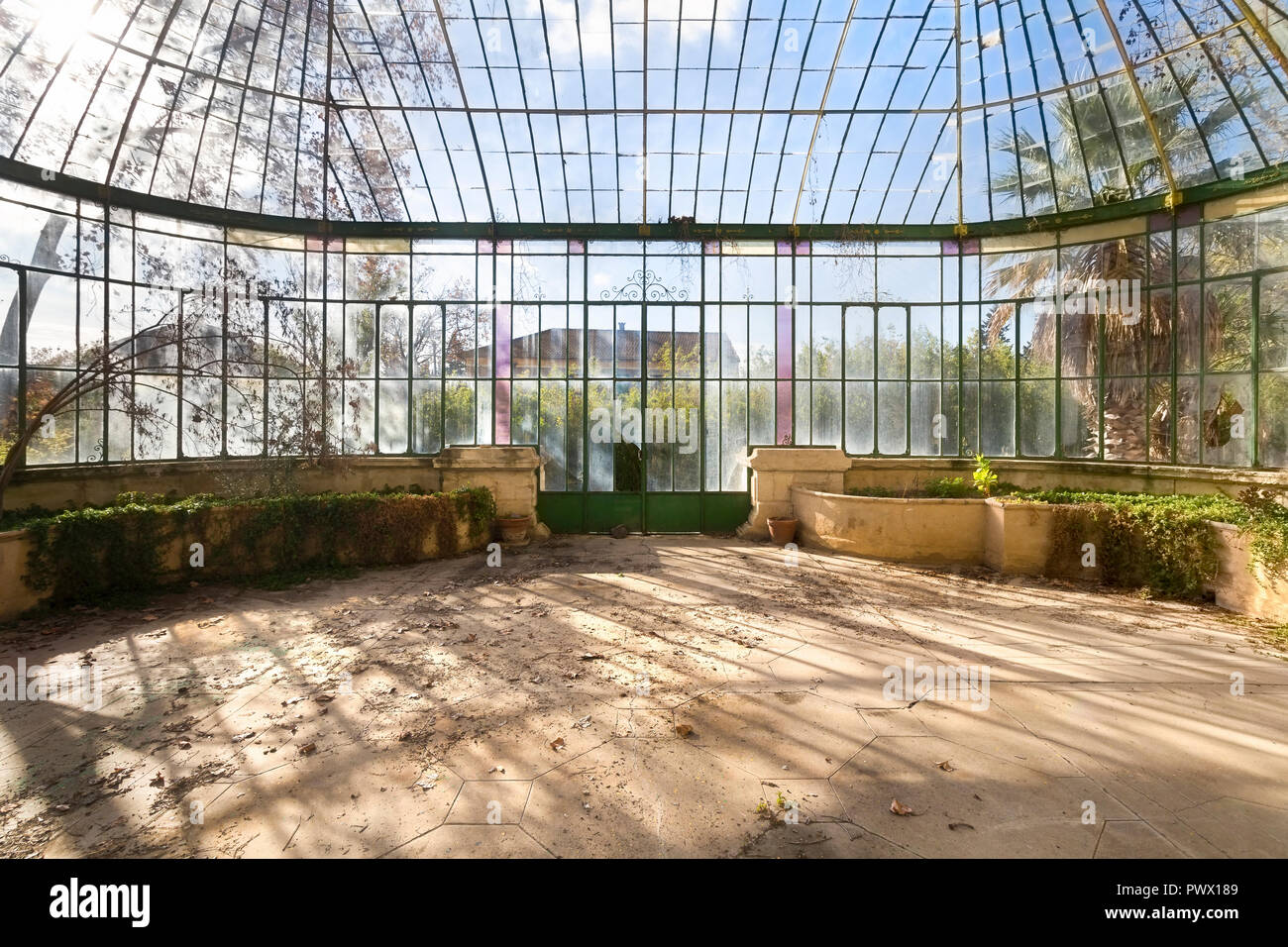 Interior view of a beautiful greenhouse in an abandoned castle in ...
