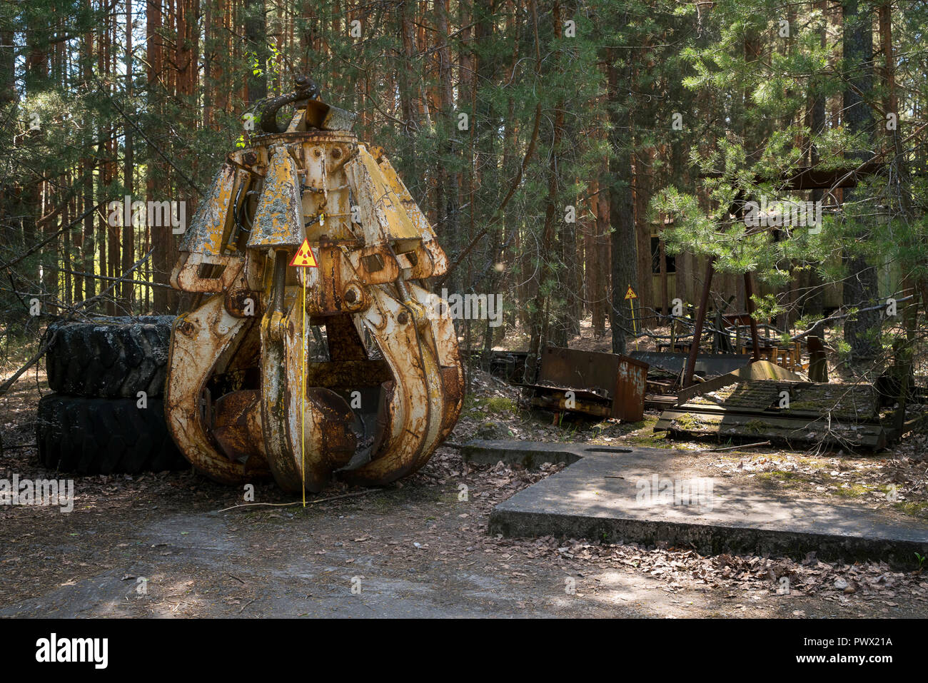 Chernobyl 1986 forest hi-res stock photography and images - Alamy