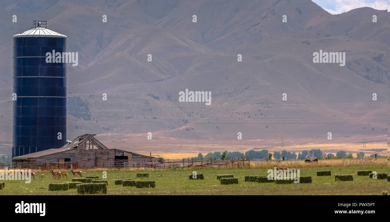 Rural Utah Barn High Resolution Stock Photography and Images - Alamy