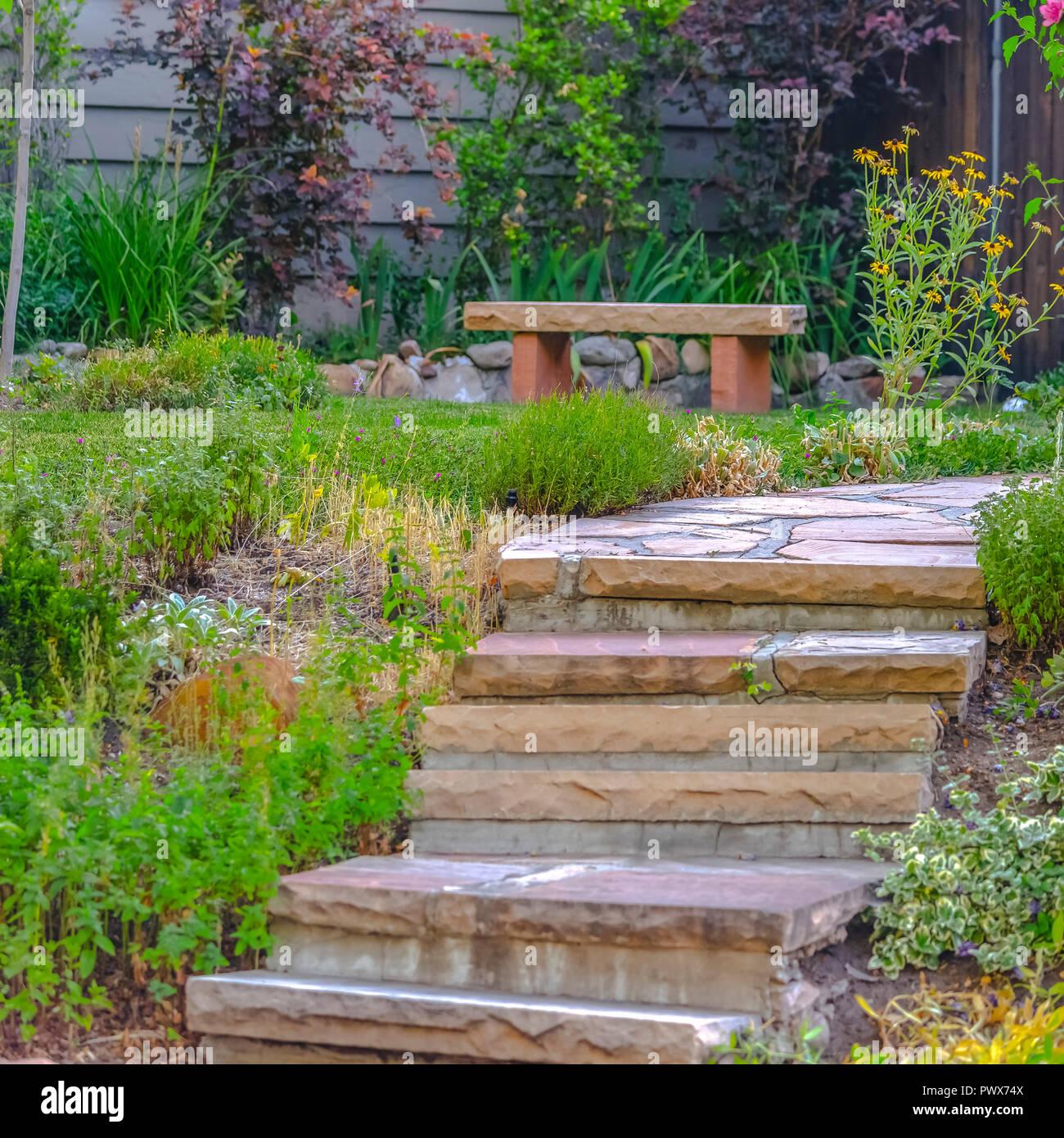 Yard steps staircase gardening hi-res stock photography and images - Alamy