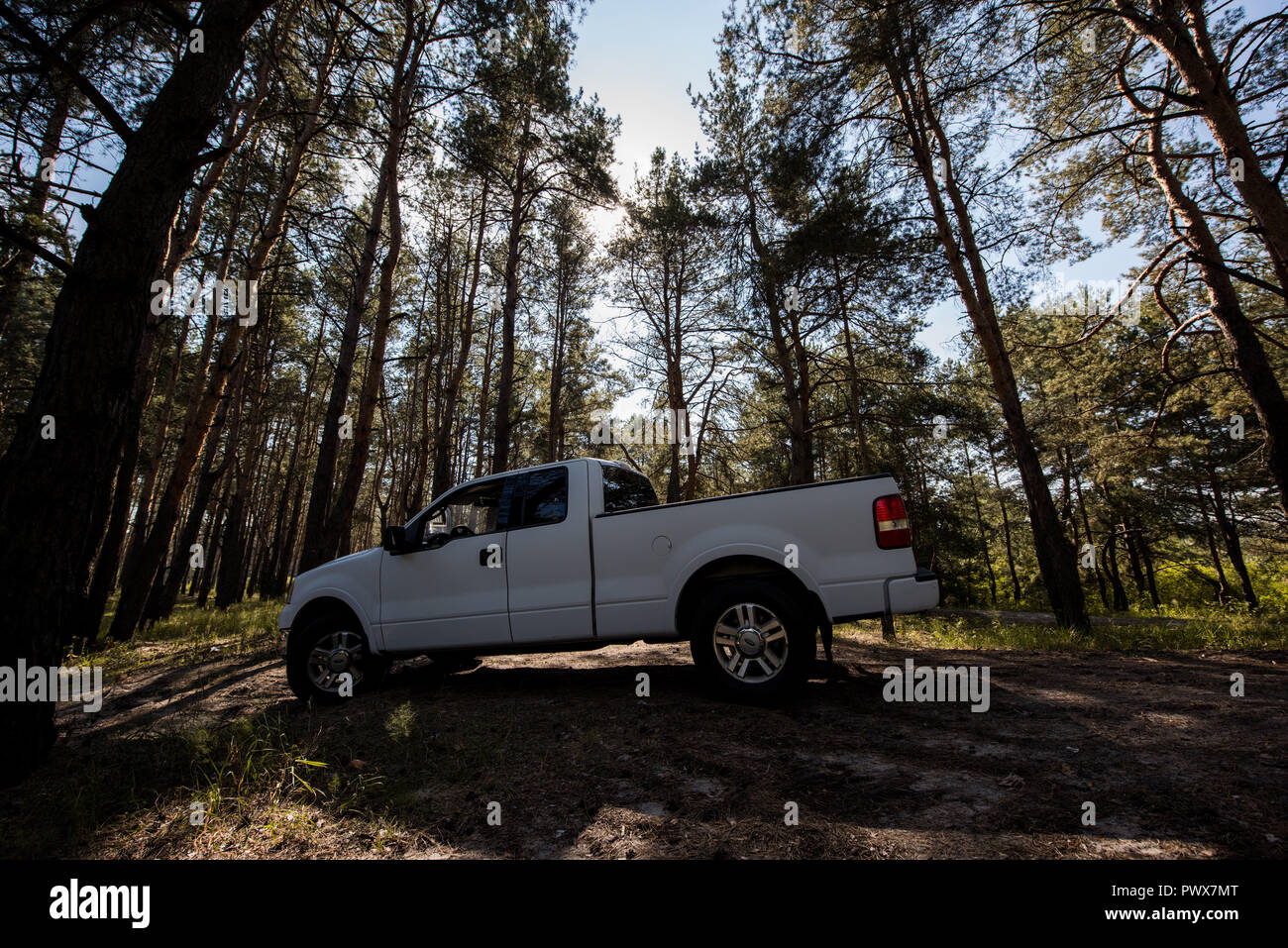 side view of white pickup truck in sunny forest Stock Photo - Alamy