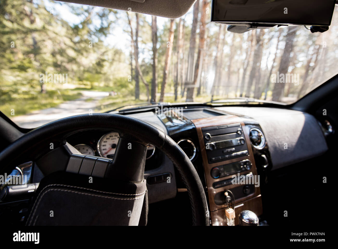 Trees view from inside car hi-res stock photography and images - Alamy