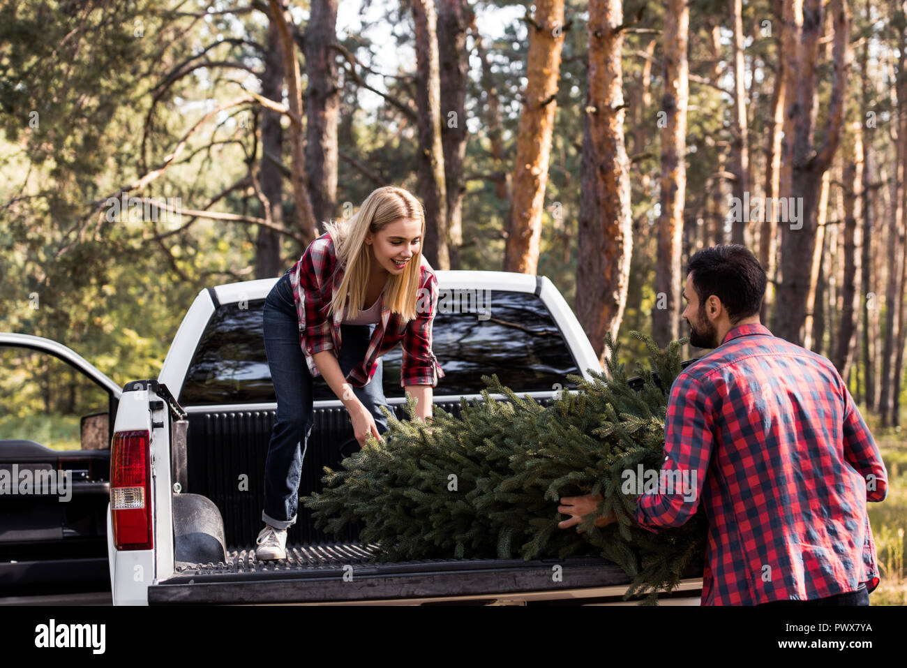 happy couple carrying fir tree for christmas in pickup truck in forest ...