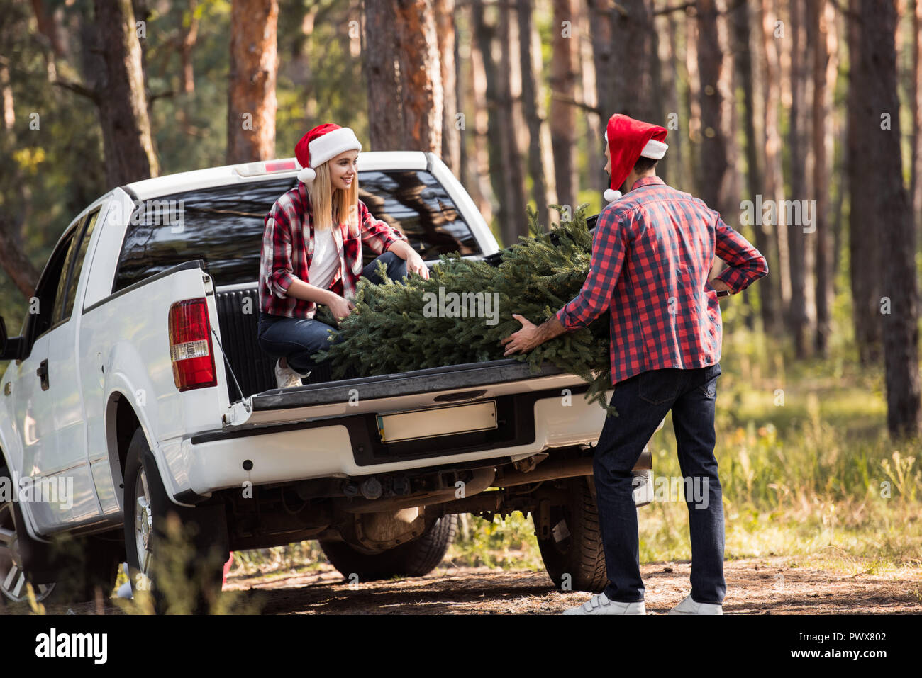 happy couple in santa hats carrying fir tree for christmas into pickup ...