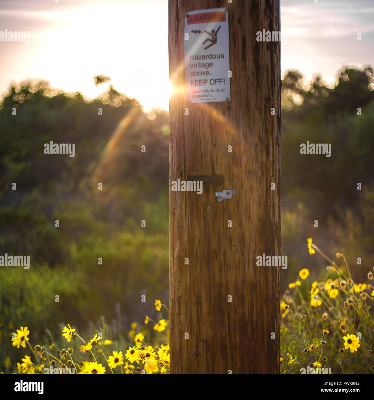Warning sign on wooden electricity pole sunset Stock Photo - Alamy