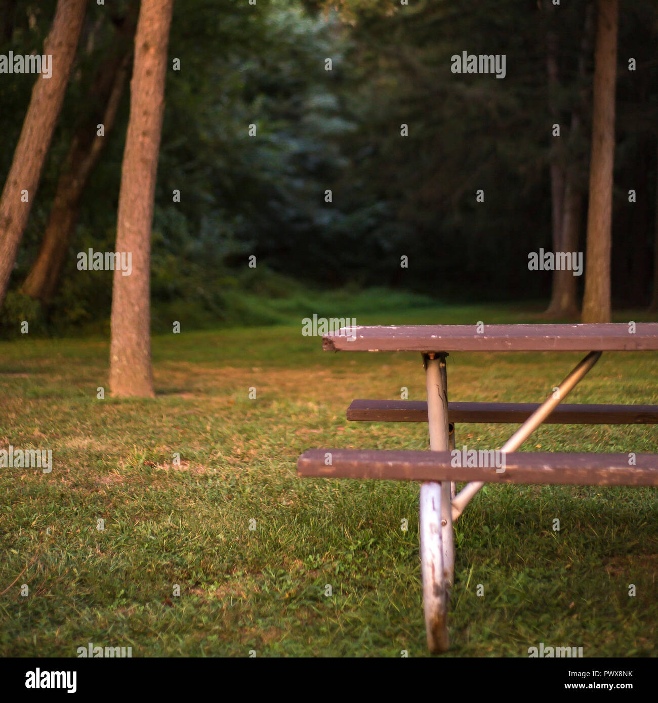 Weathered picnic table and bench by the forest Stock Photo - Alamy