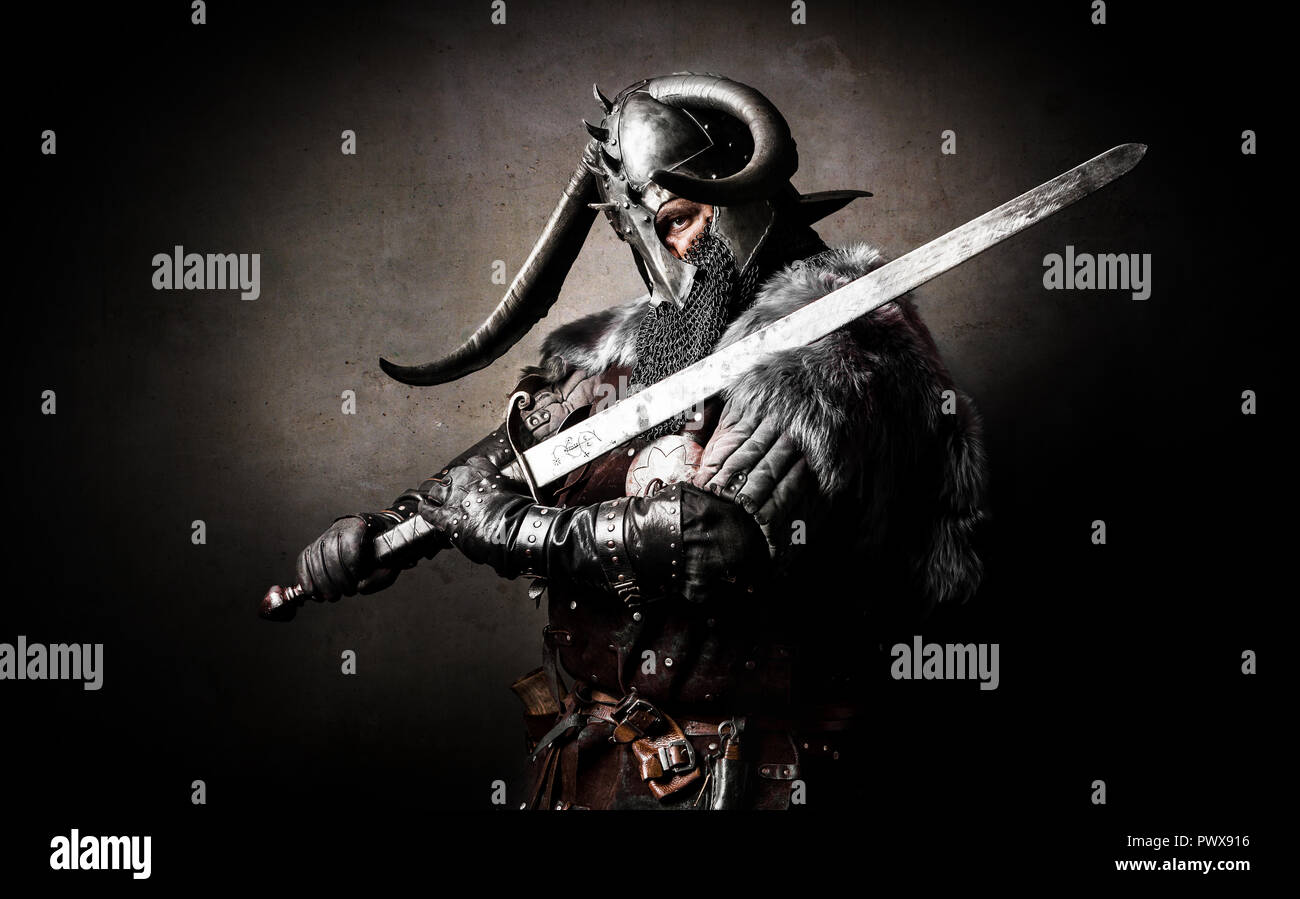 Portrait of a Viking Stock Photo - Alamy