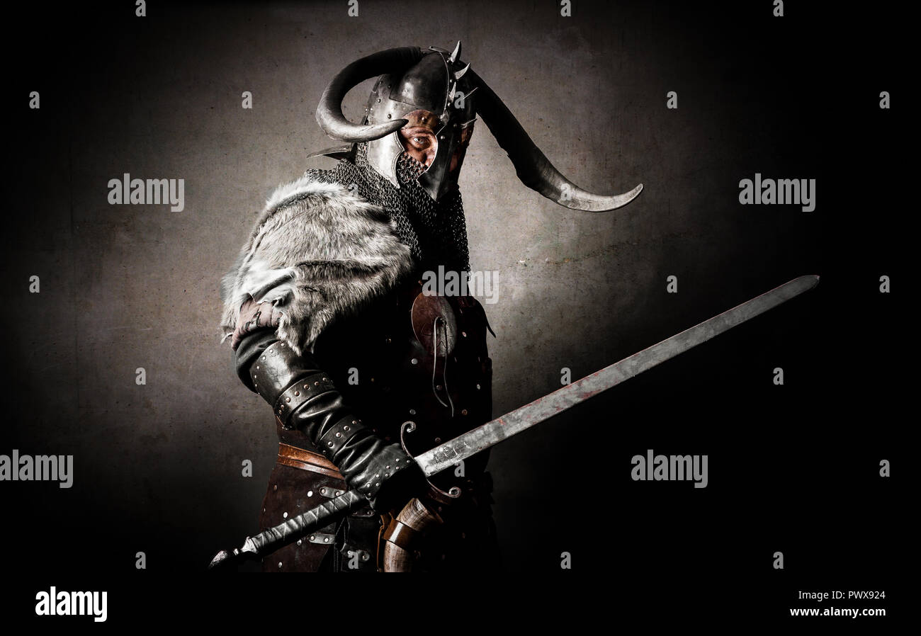 Portrait of a Viking Stock Photo - Alamy