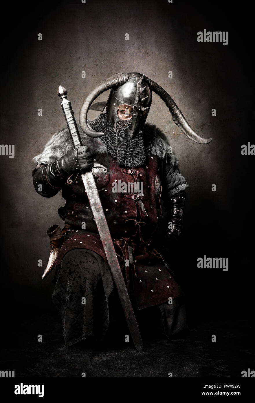 Portrait of a Viking Stock Photo - Alamy