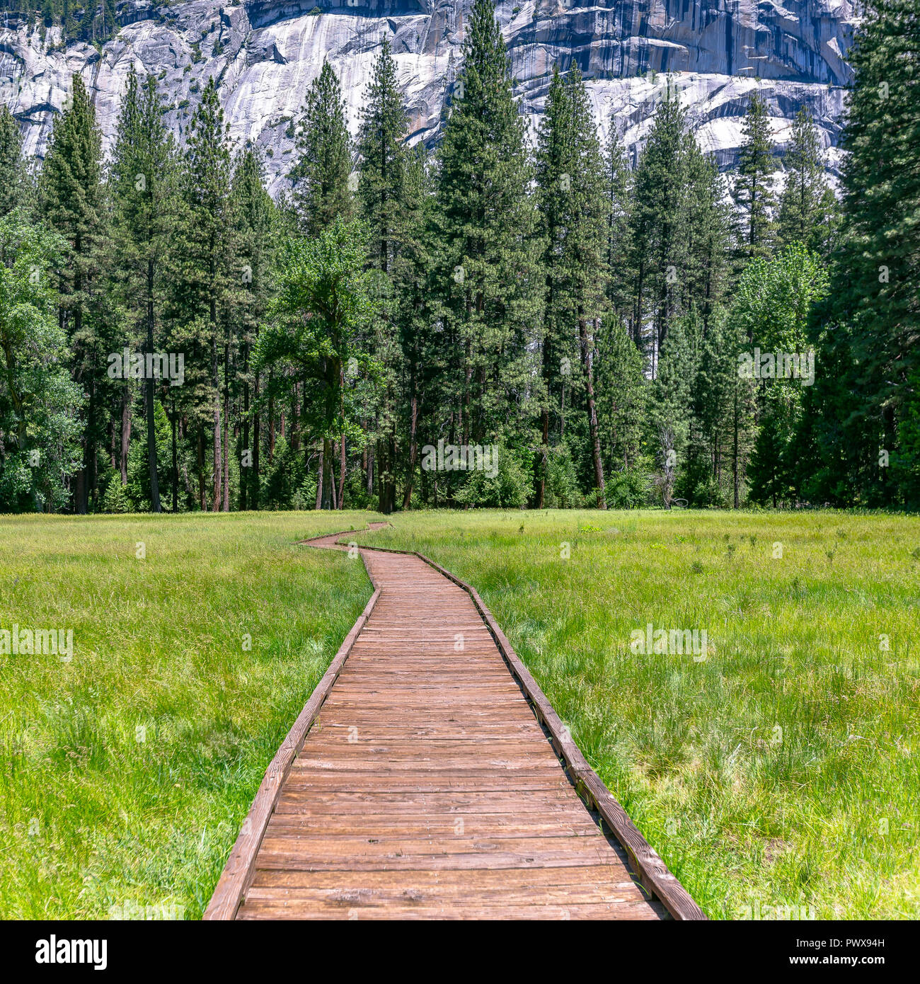 Wooden path on a grassy terrain in Yosemite CA Stock Photo - Alamy
