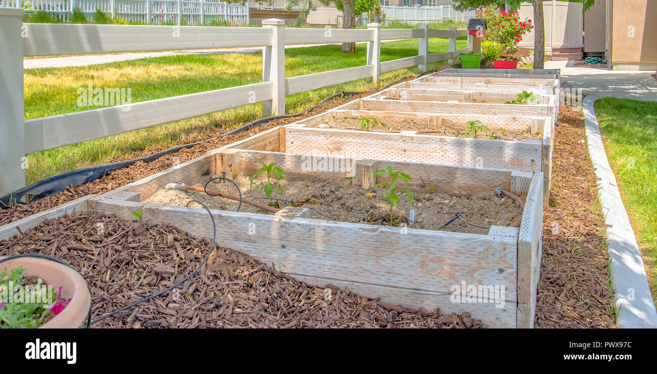 Wooden seedling boxes on a sunny backyard Stock Photo - Alamy
