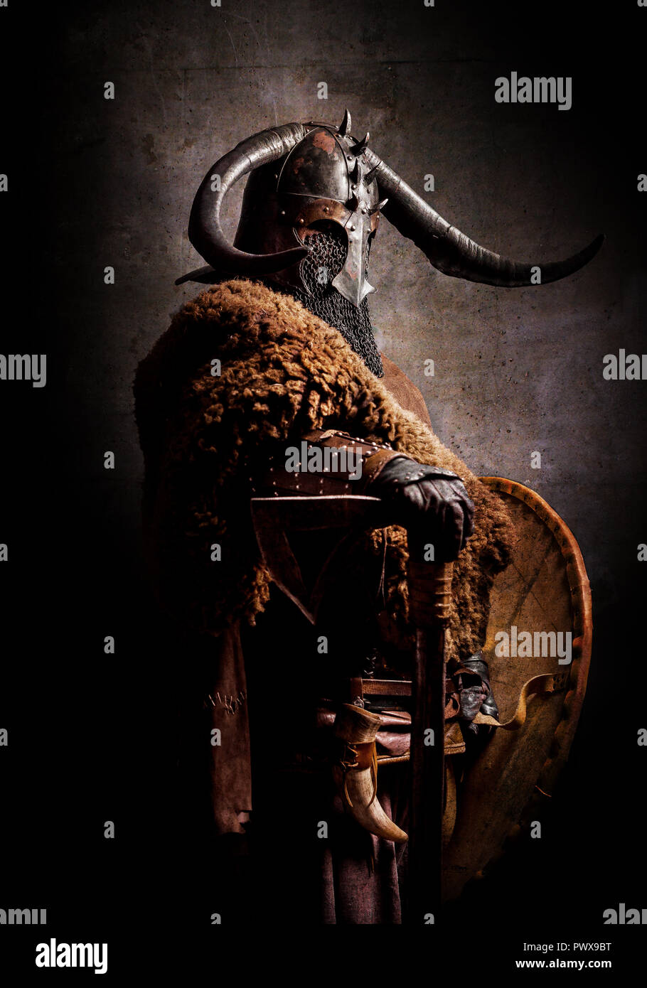Portrait of a Viking Stock Photo - Alamy